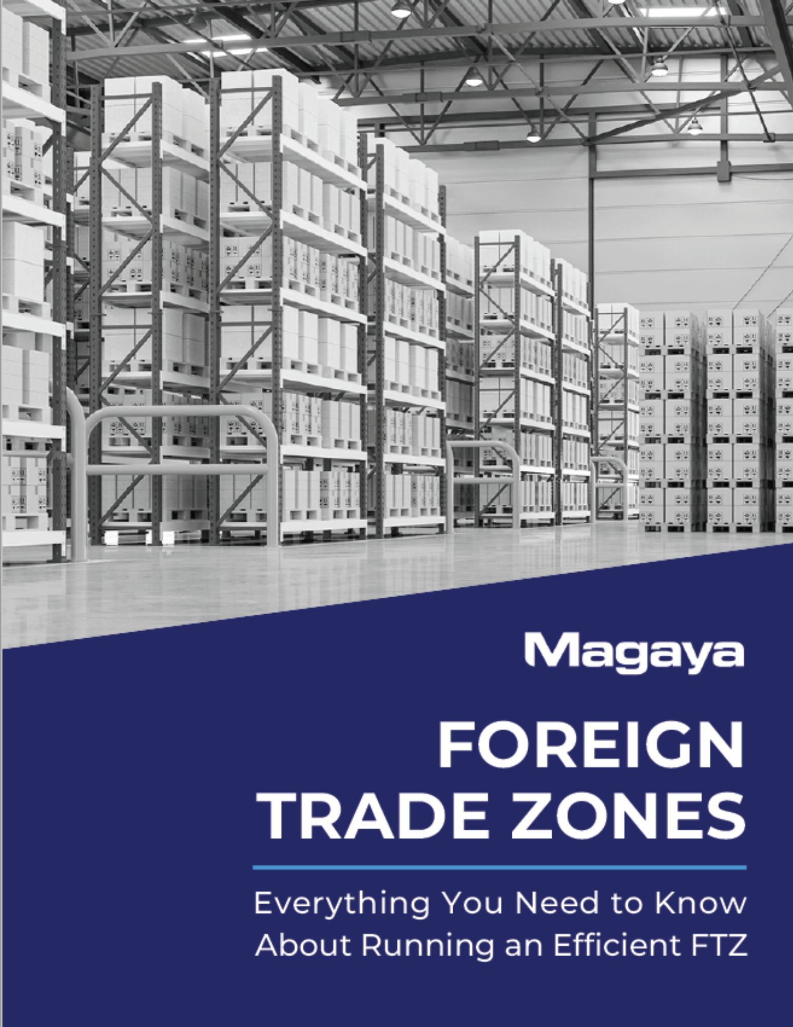 Guía informativa FTZ